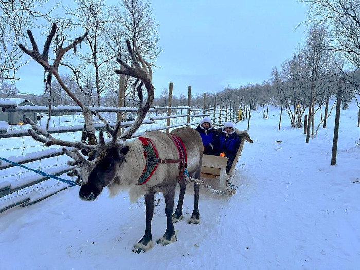 Reindeer sleigh ride :: Arctic Siida